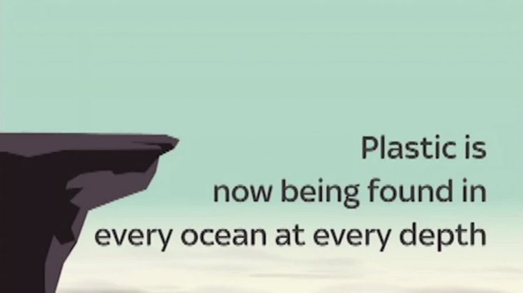 Plastic pollution reaches ocean's deepest parts